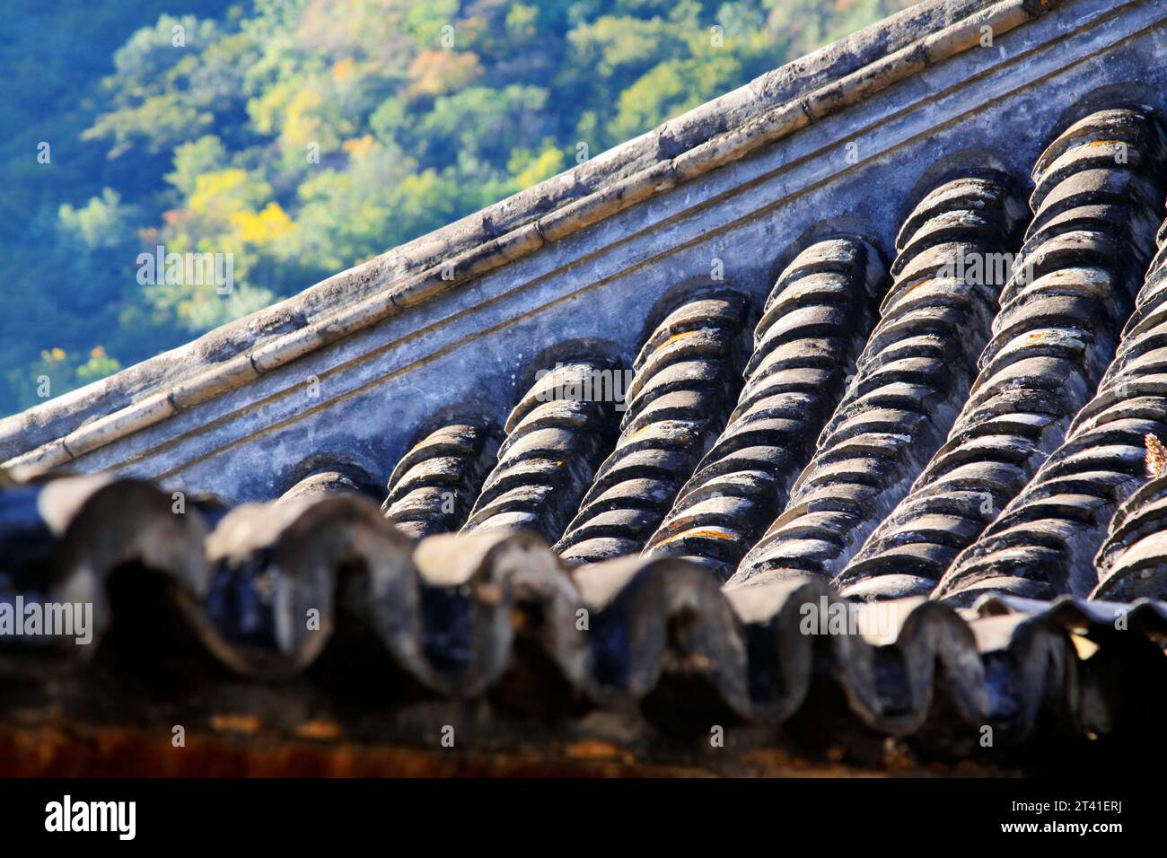 tile eaves, closeup of photo Stock Photo - Alamy