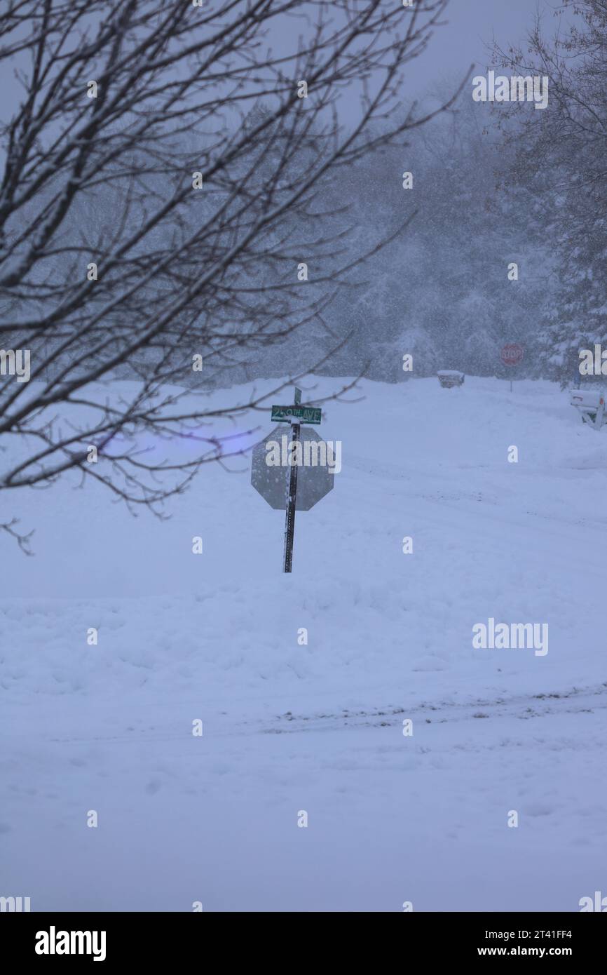 A heavy snowfall covering the street with a stop sign half buried under ...