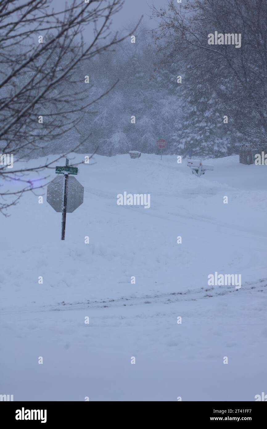 Stop sign buried in snow hi-res stock photography and images - Alamy