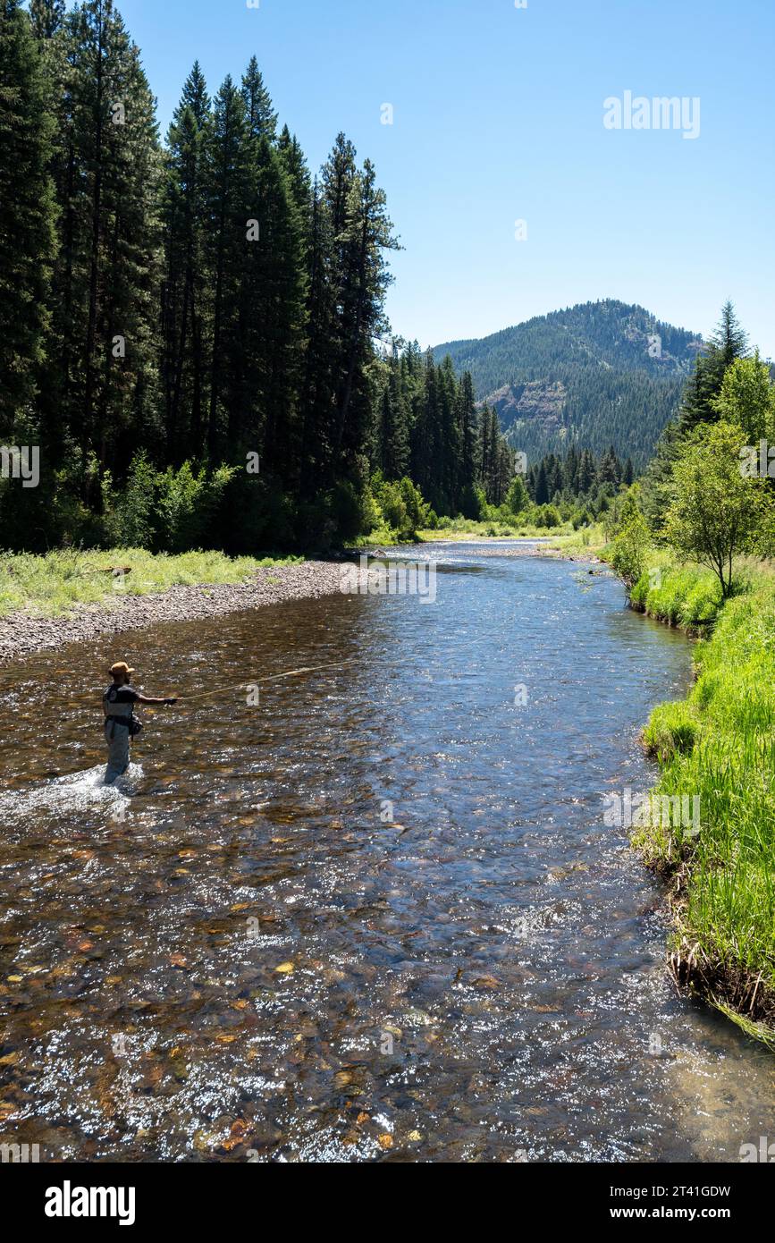 Fly fishing on the Minam Wild & Scenic River, Wallowa Mountains, Oregon ...