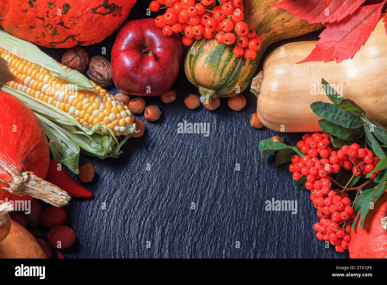 Autumn agricultural frame made of fruits and vegetables with copy space ...