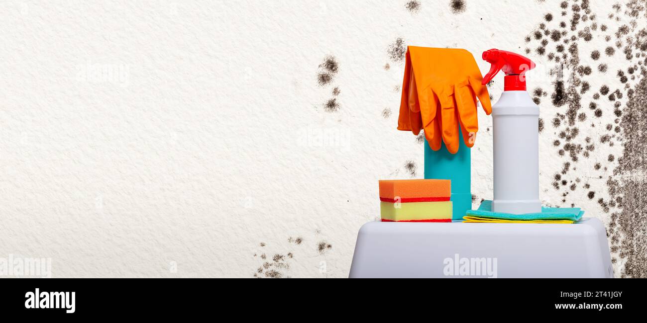 Accessories for cleaning from stains of poisonous bacteria mold and ...