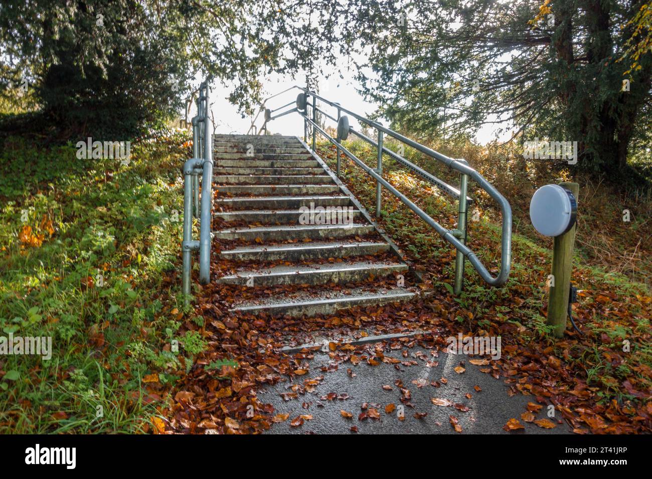 A flight of stairs outside covered in fallen autumn leaves. Handrails ...