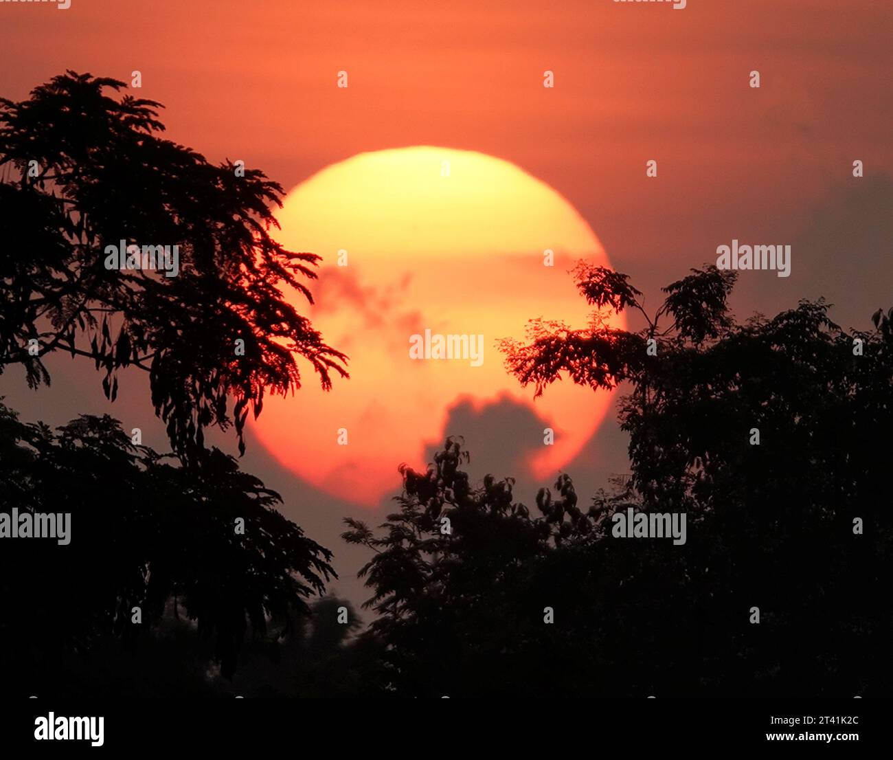 A scenic view featuring a sun setting behind a collection of trees in a ...