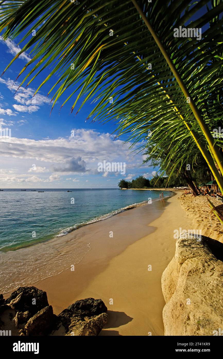Barbados, Holetown, Coral Reef Club, beach Stock Photo - Alamy