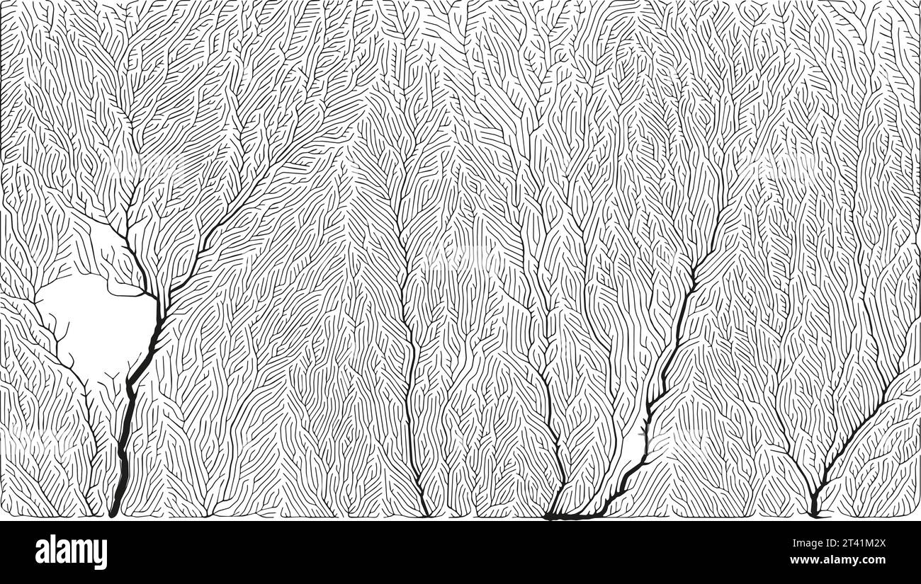 Growth pattern. Generative branching structure. Organic net of vessels ...