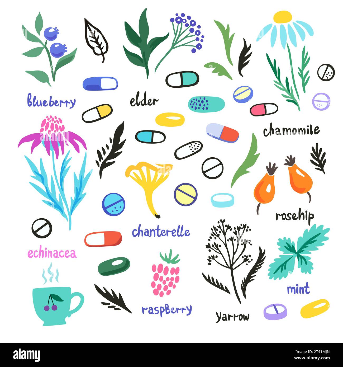 Health supplements and medicinal plants. Concept of herbs using in ...