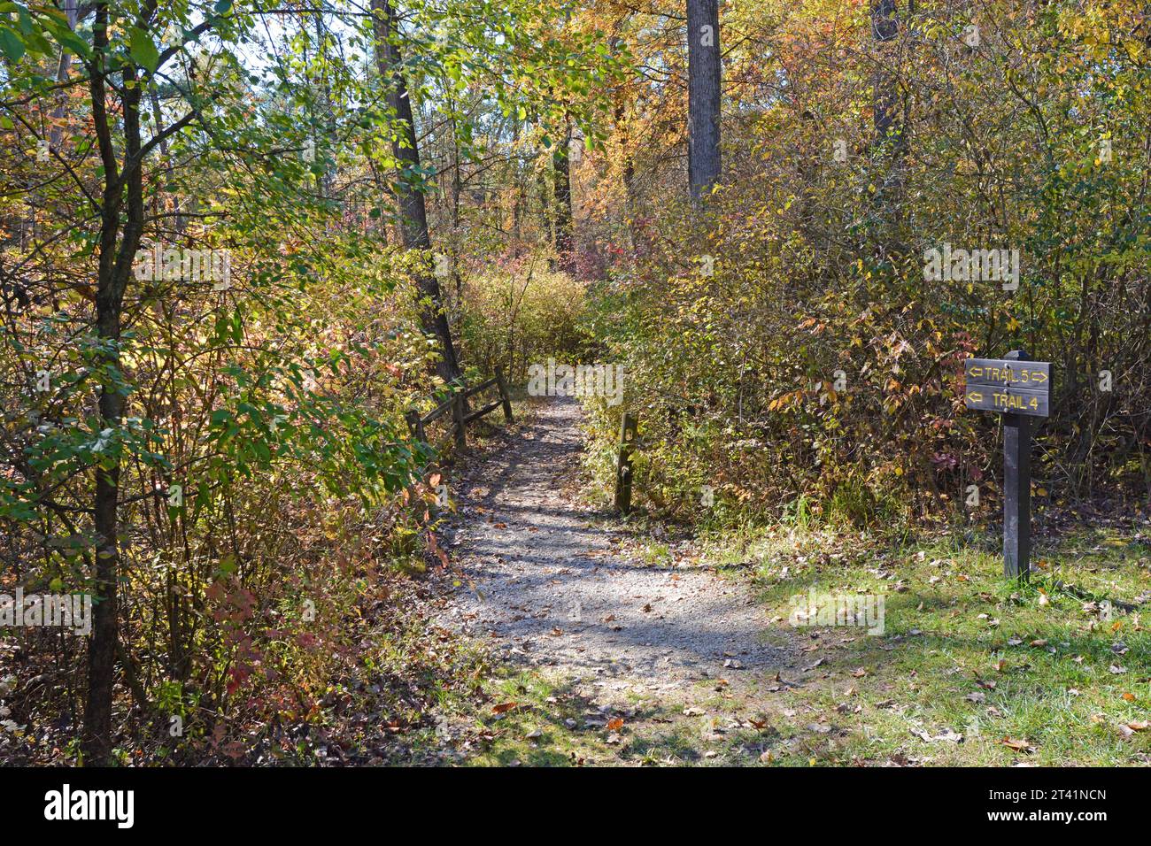 Trailhead of a footpath at the Ouabache State Park in northern Indiana ...