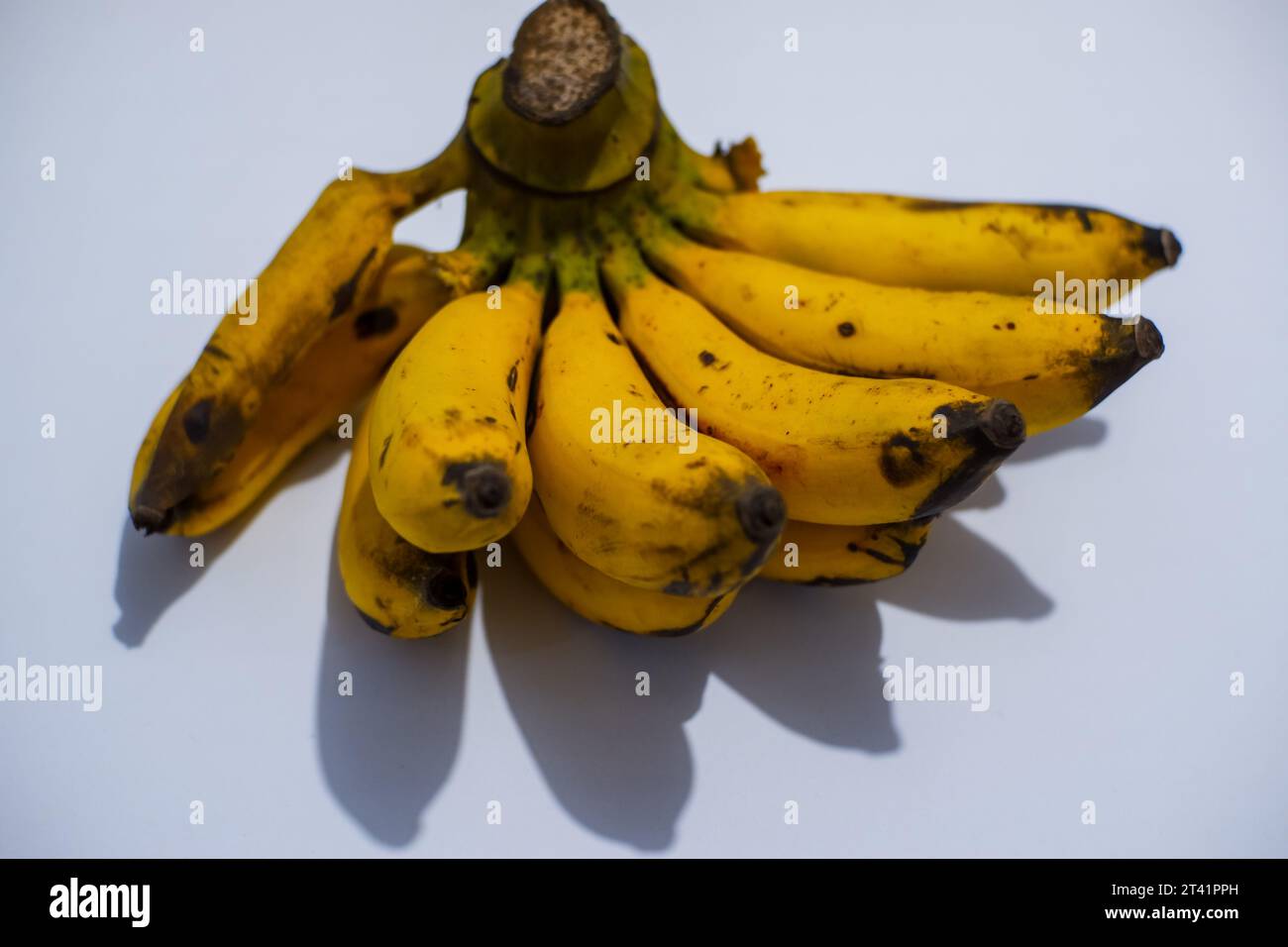 a bunch of ripe bananas, famous in Indonesia called "pisang kepok ...