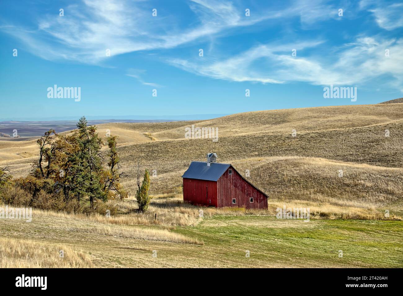 An old red barn stands in a field near Moscow, Idaho in the palouse ...