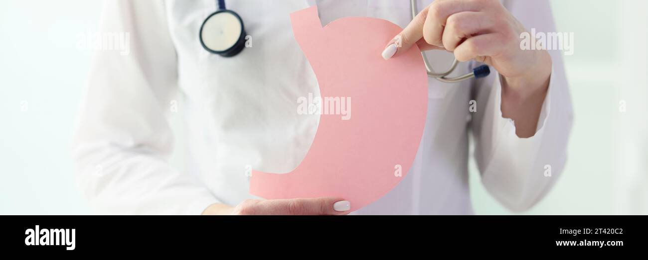 Doctor with stethoscope holds stomach cut out of cardboard Stock Photo ...