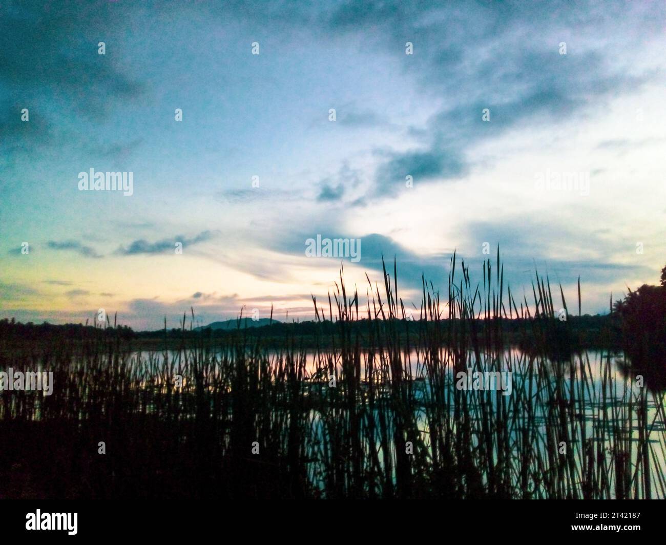 A tranquil lake is surrounded by lush evergreen trees as the sun sets ...