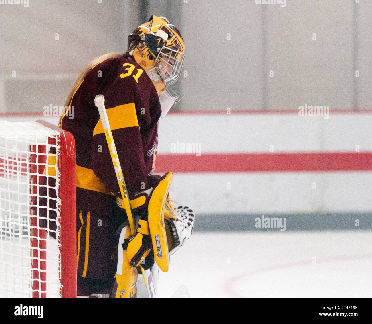 Columbus, Ohio, USA. 27th Oct, 2023. Minnesota Golden Gophers ...