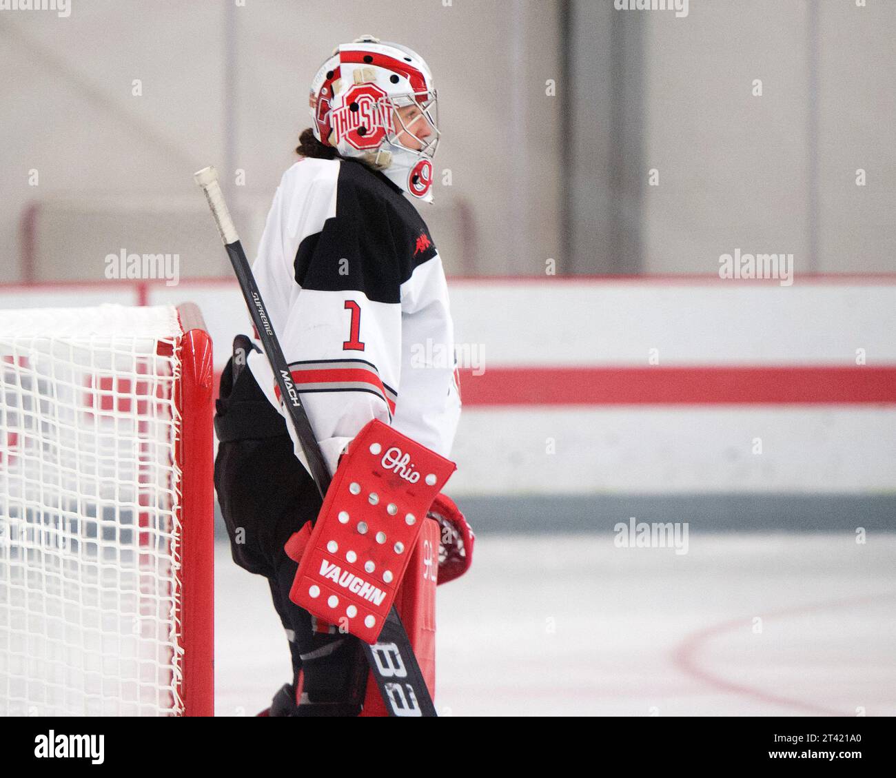 20231027 hi-res stock photography and images - Alamy