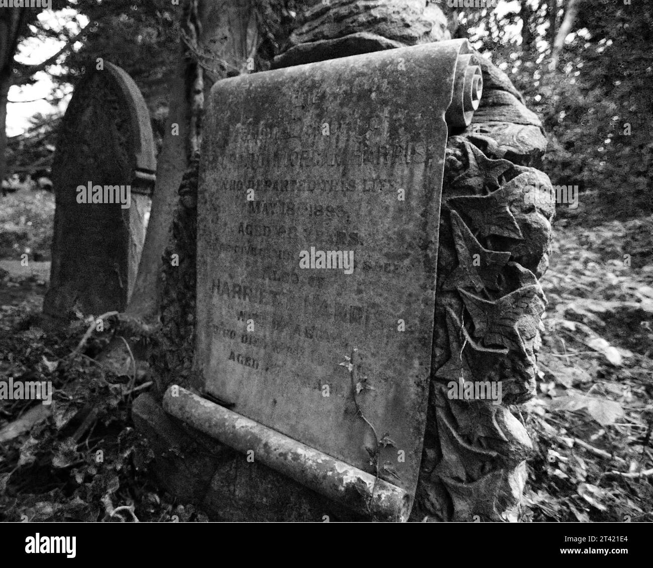 A monochrome image of a cemetery with a weathered, historic tombstone ...