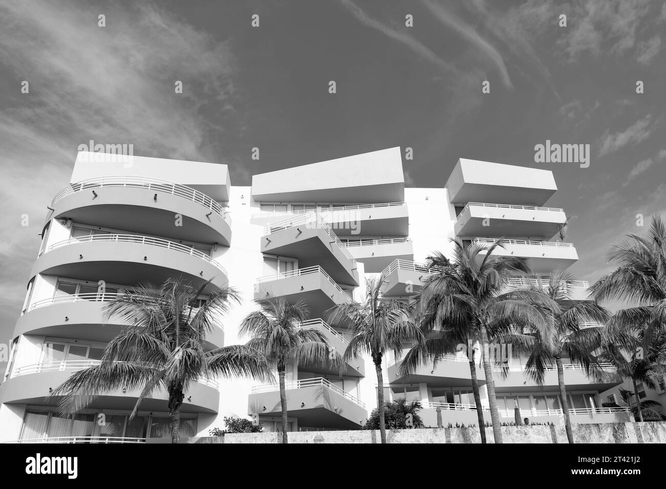 building facade architecture with palm trees. building facade ...