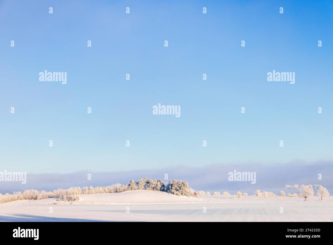 Landscape view with snow on the fields a winter day in the countryside ...