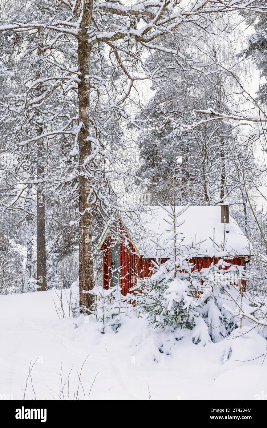 Red wooden cabin in a snowy forest in winter, Sweden Stock Photo - Alamy