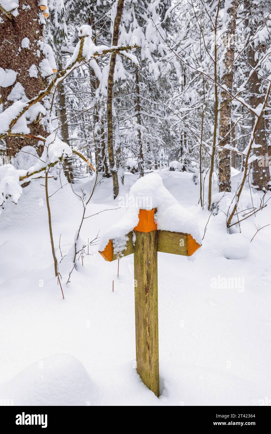Trail marking with snow in the forest for a hiking path, Sweden Stock ...
