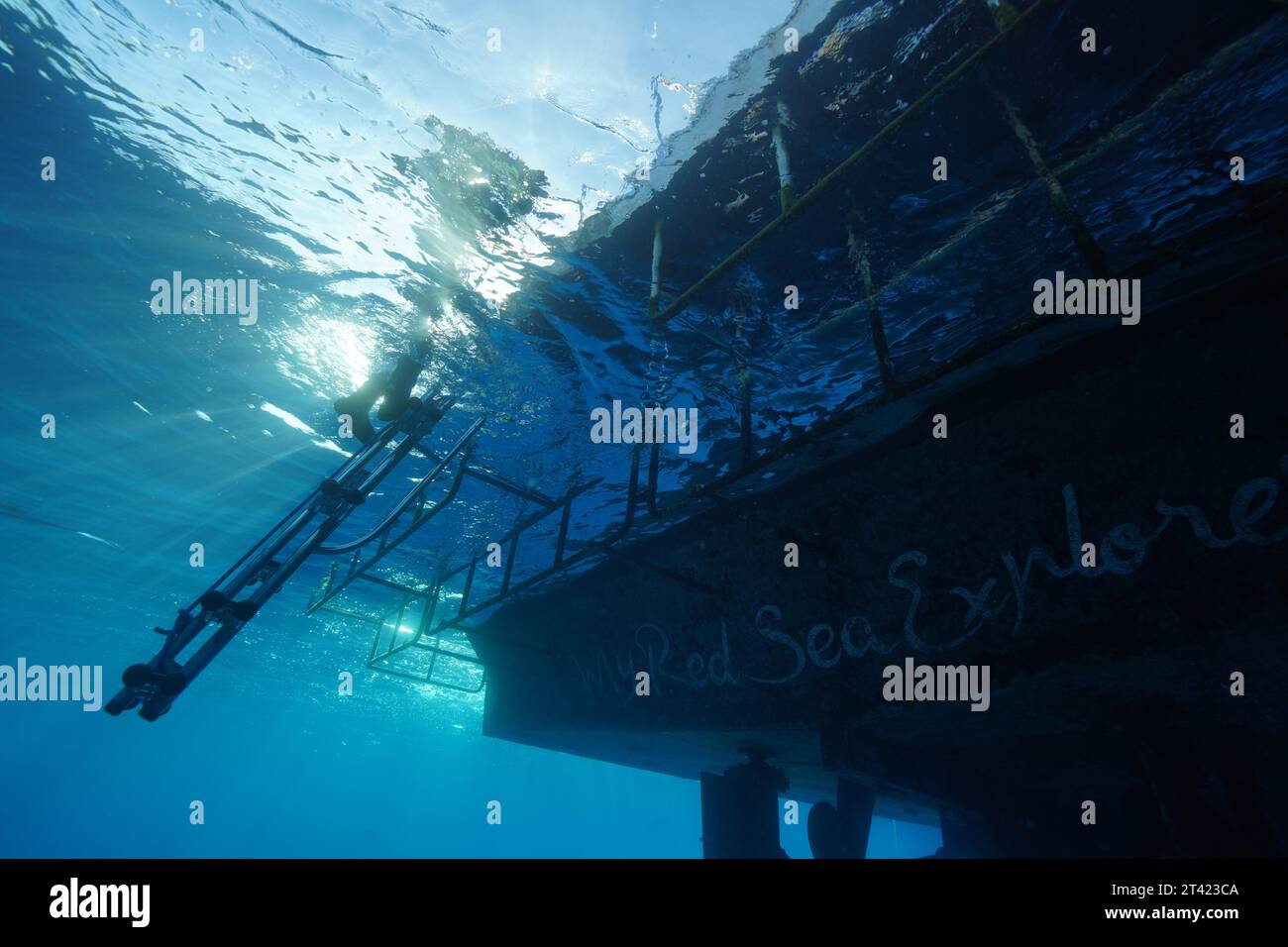 Safari boat, dive boat, livaboard Red Sea Explorer from below, ladder ...