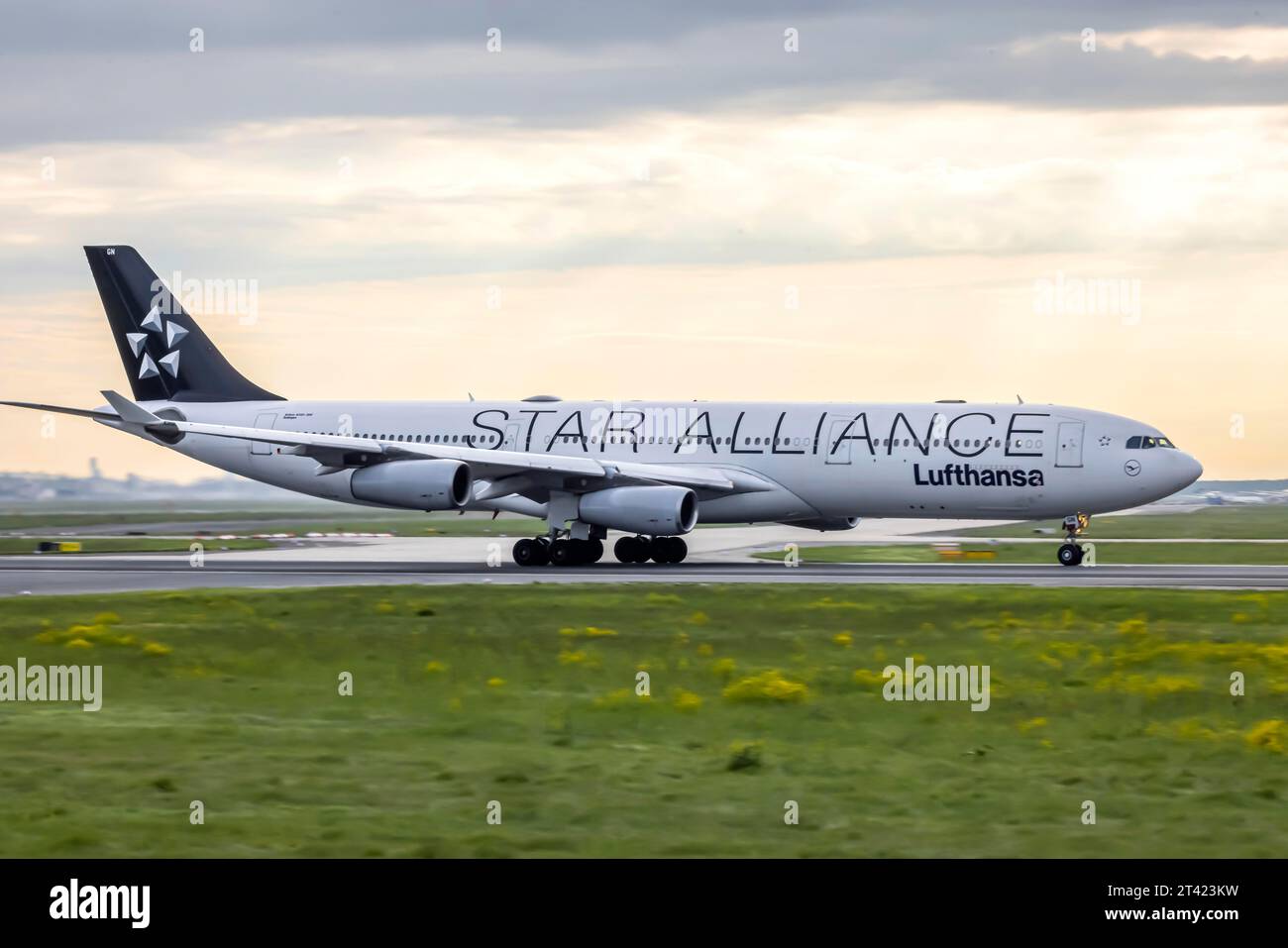 Aircraft on the runway, D-AIGN, LUFTHANSA, AIRBUS A340-300. Fraport ...