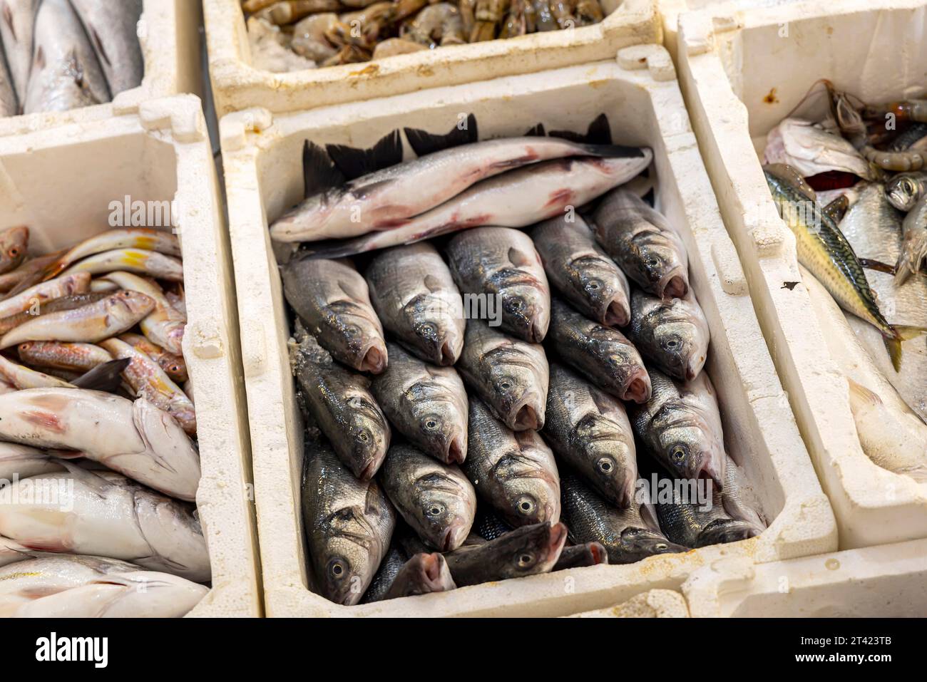 Kusadasi fish market, fishermen sell their fish freshly caught in the ...