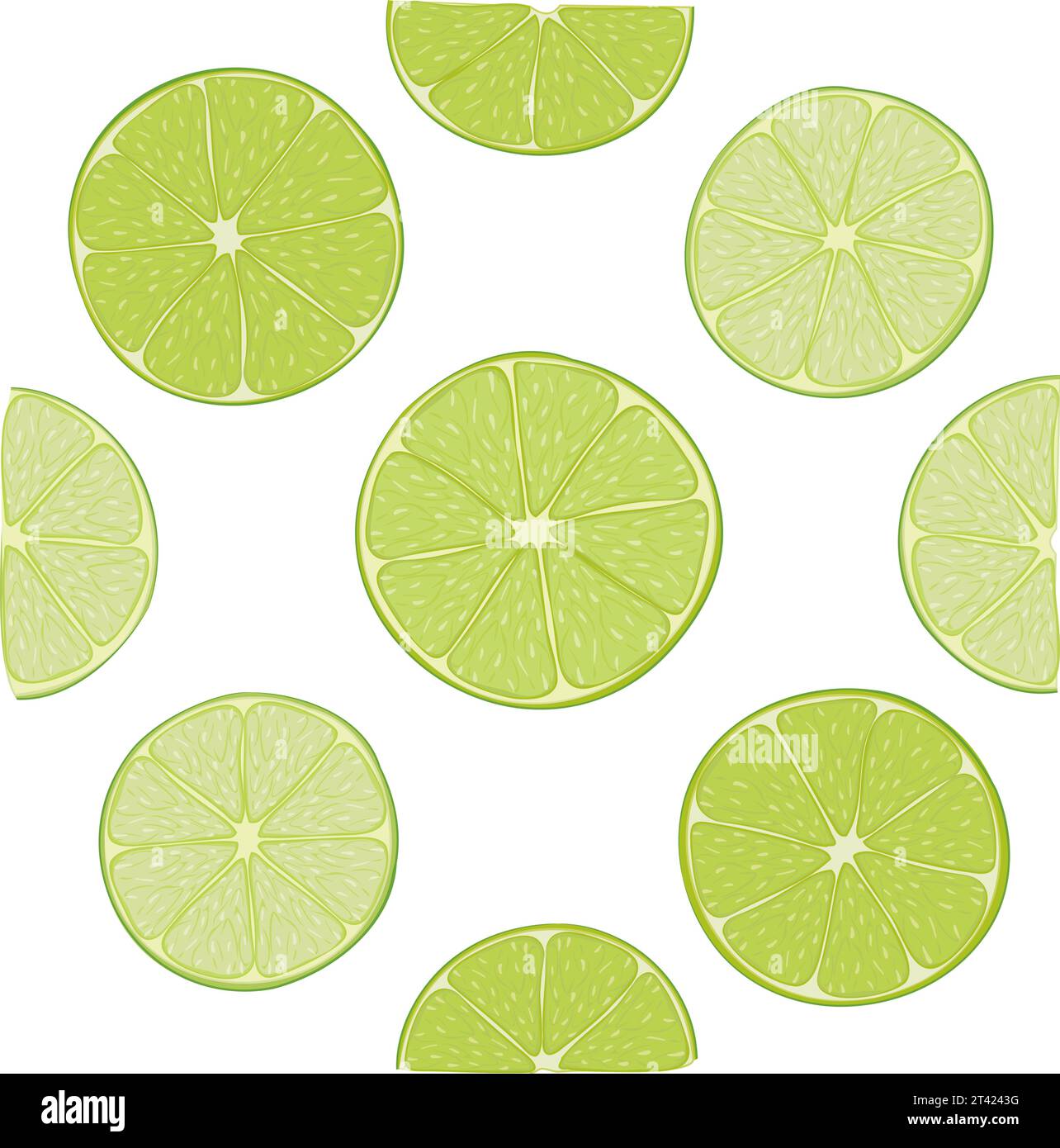 Color illustration of fresh lime slices. Vector illustration of fresh ...