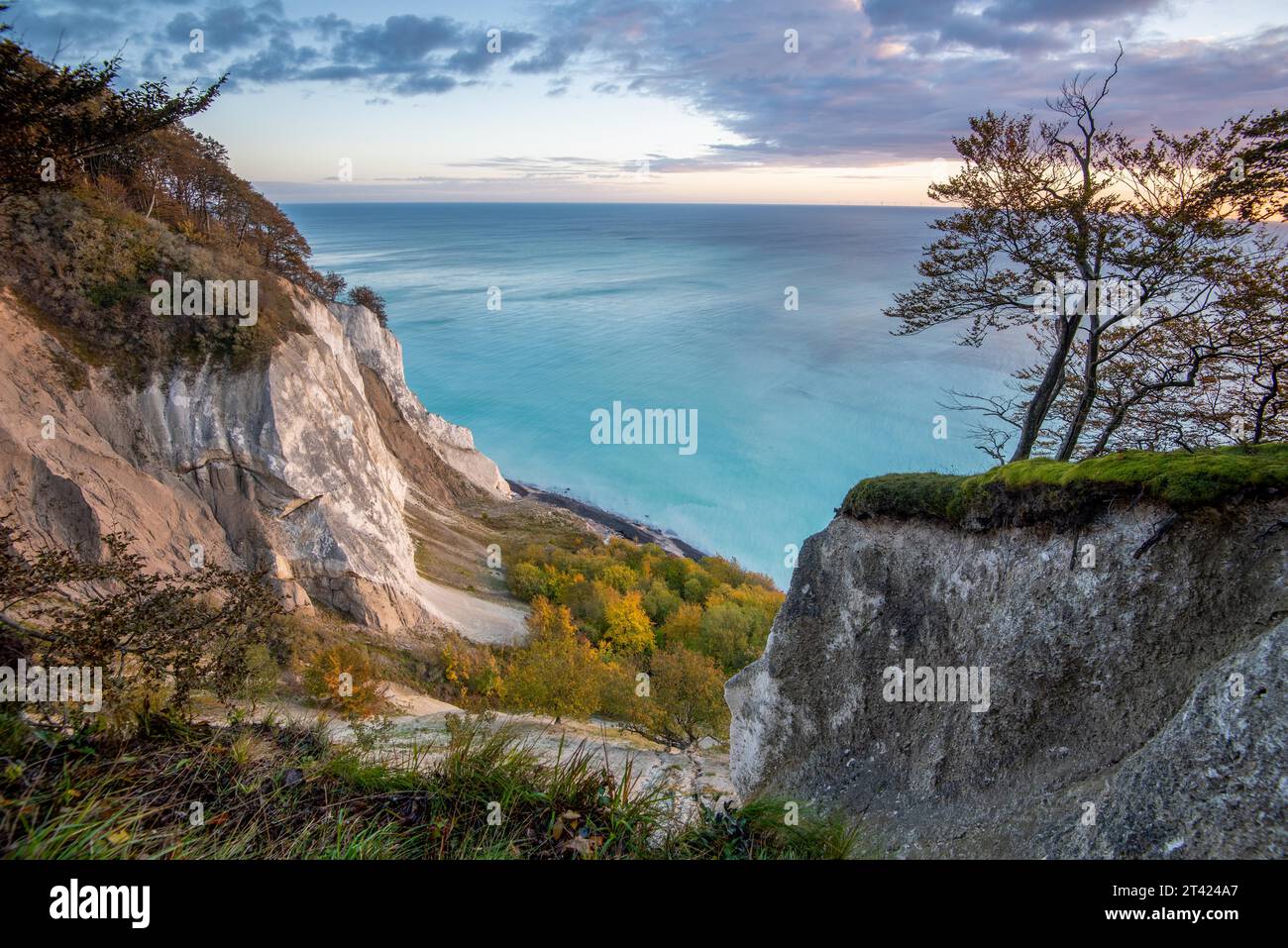 Moens Klint chalk cliff, Baltic Sea island of Moen, Denmark Stock Photo ...