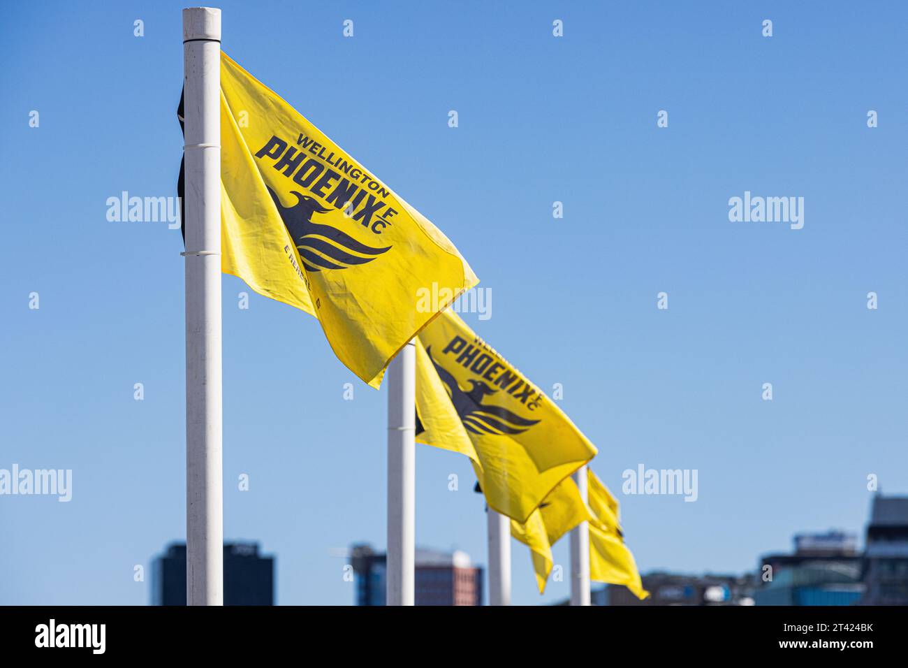 Wellington, New Zealand. Saturday 28th October 2023. The Wellington ...