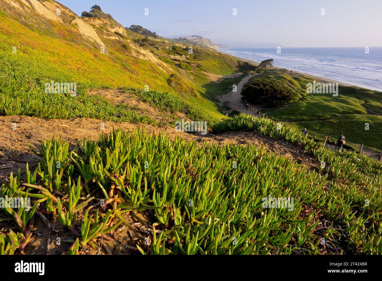 The scenic beach of Fort Funston on Skyline Blvd, San Francisco CA ...