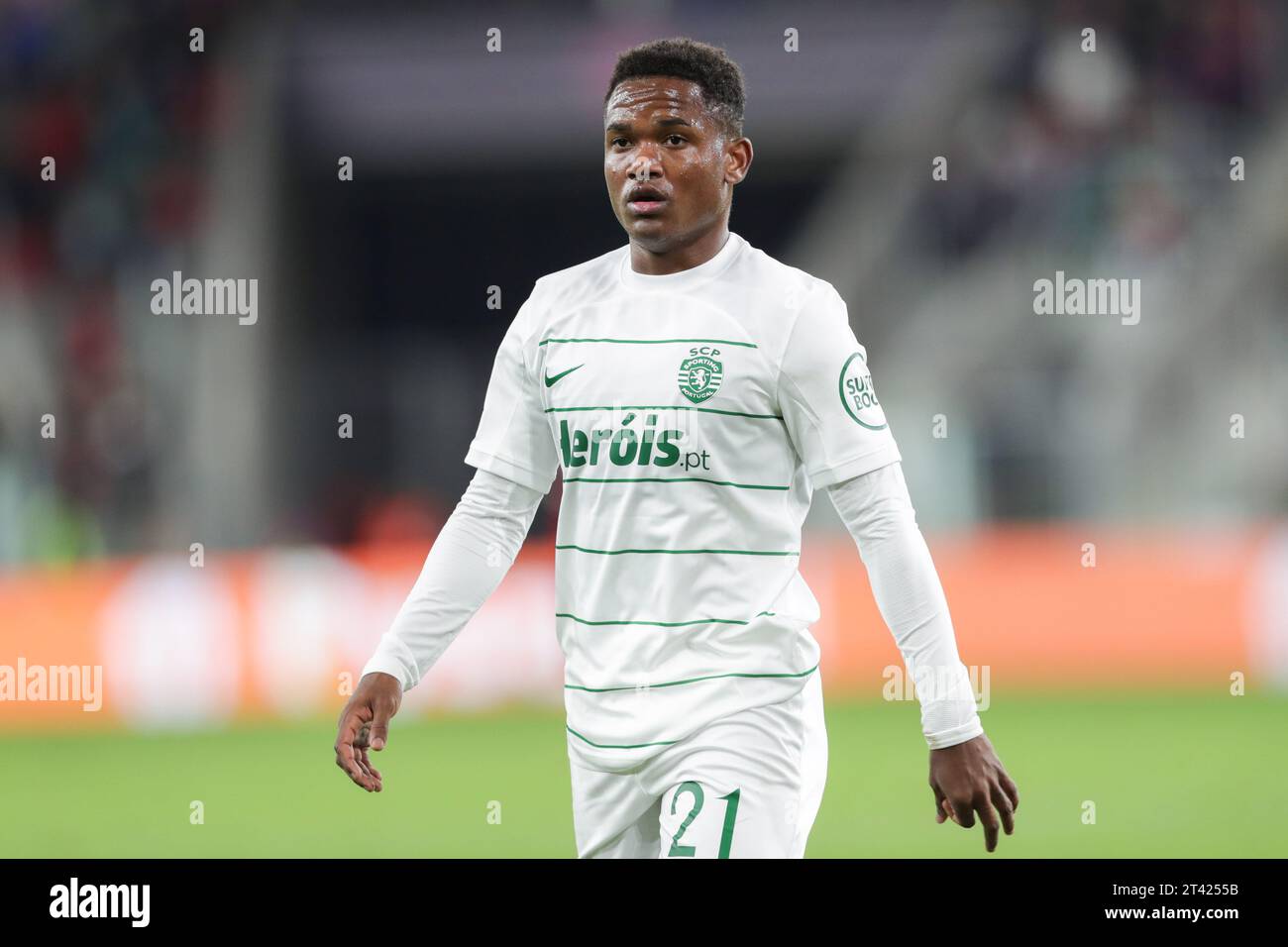 Geny catamo hi-res stock photography and images - Alamy