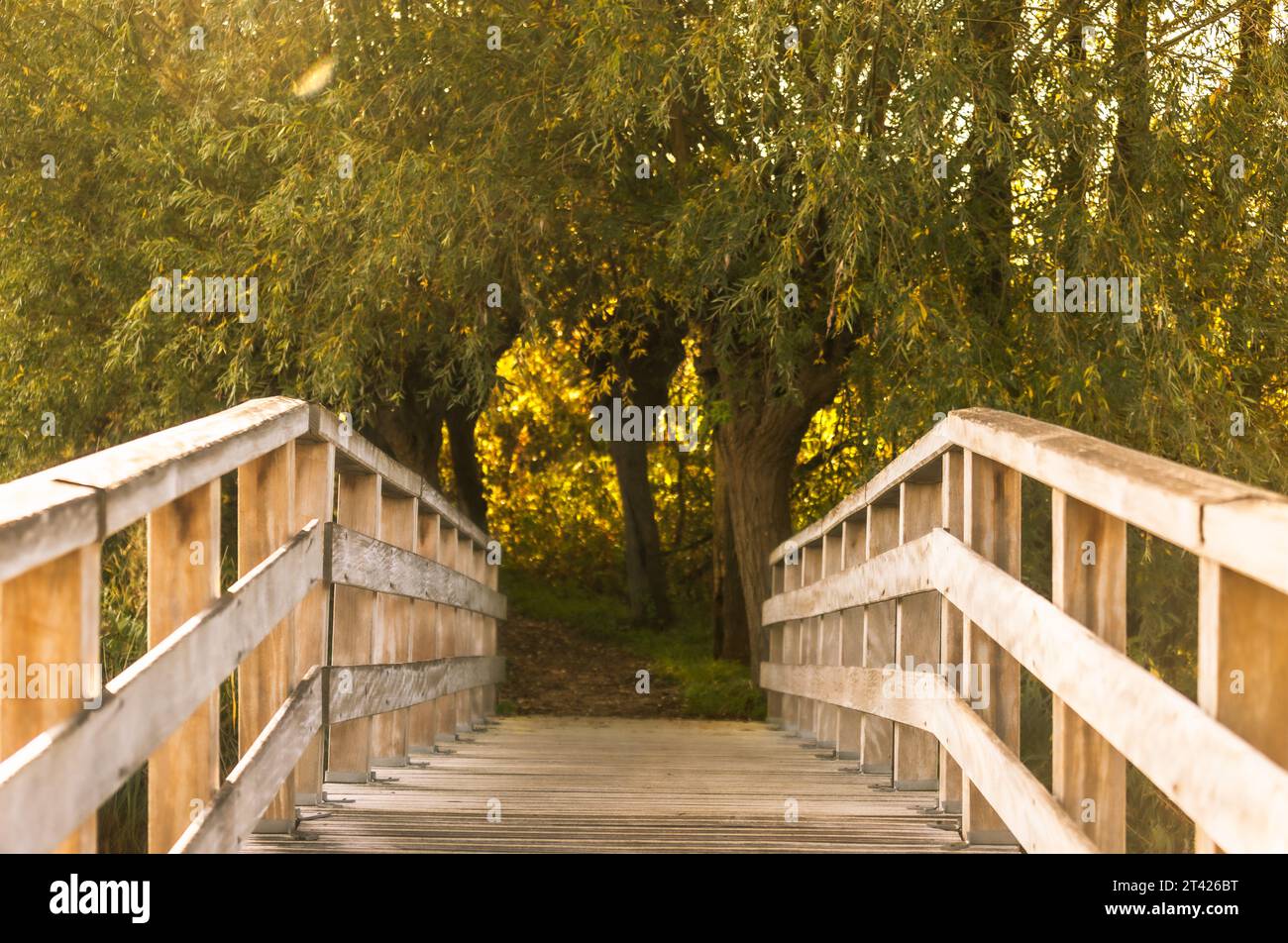 An idyllic bridge with a wooden gate leading to a picturesque pathway ...