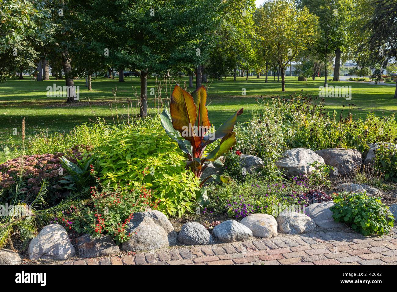 Close up landscape view of a beautiful rock garden featuring a colorful ... Close up landscape view of a beautiful rock garden featuring a colorful ...