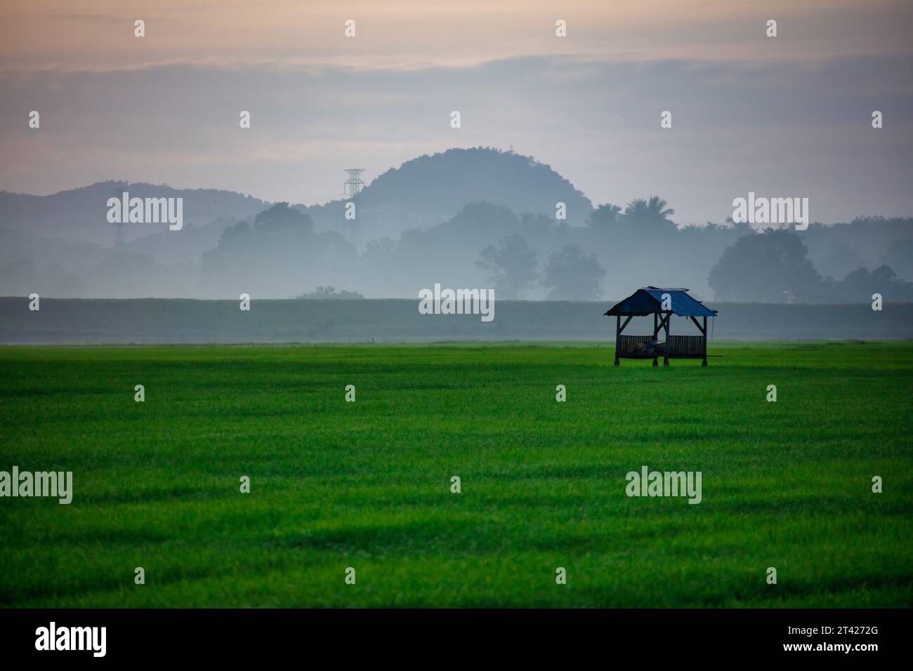 A traditional wooden hut situated in a rural landscape with a majestic ...