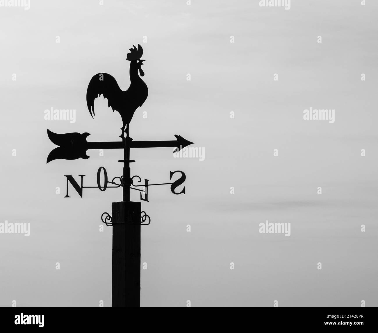 Iconic rooster Black and White Stock Photos & Images - Alamy