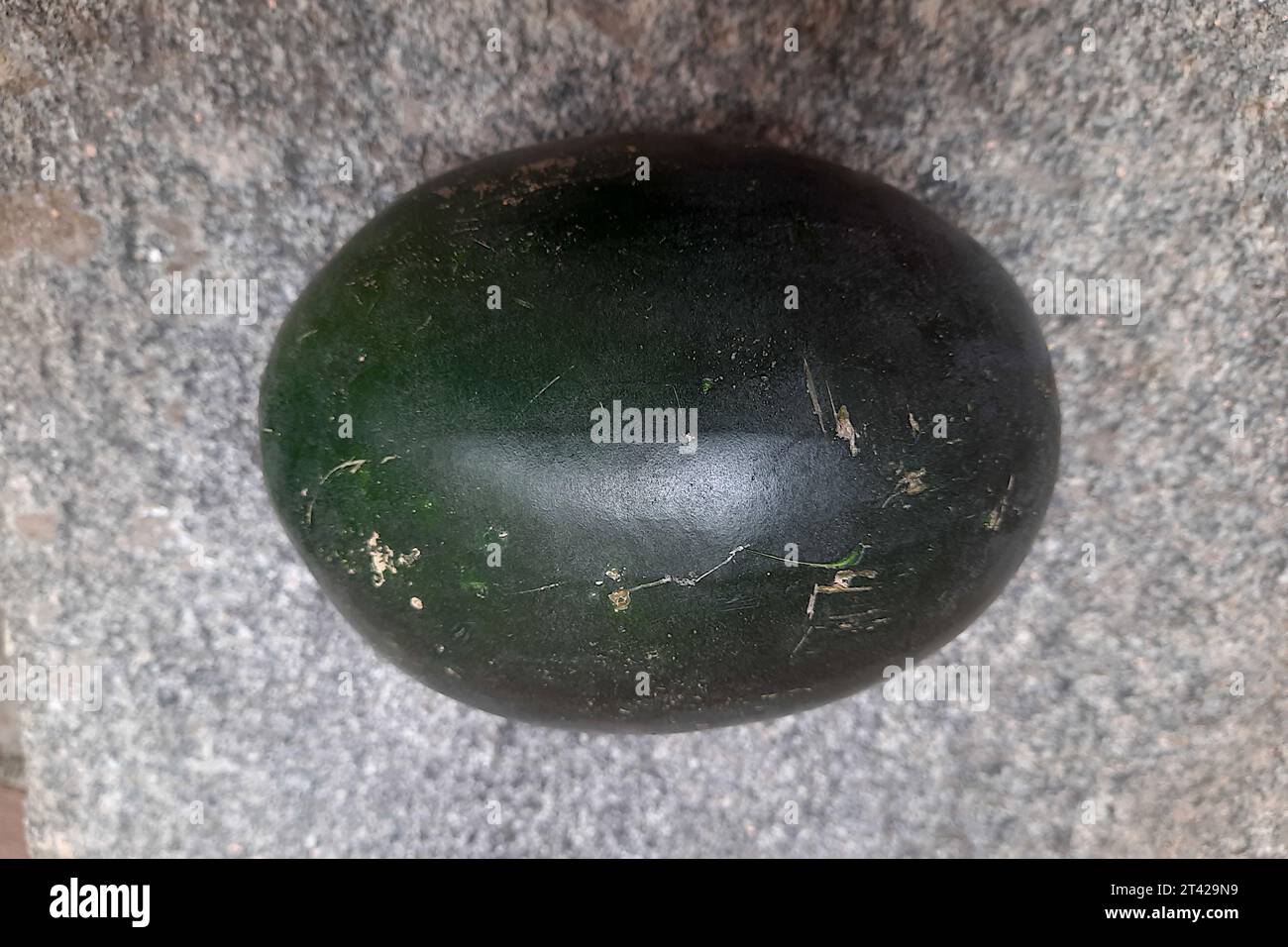 Close-up of watermelon fruit placed on unpolished granite stone slab ...