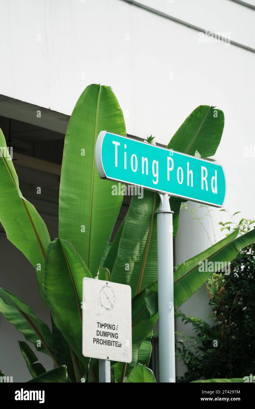 A street sign with green lettering and background is visible next to a ...