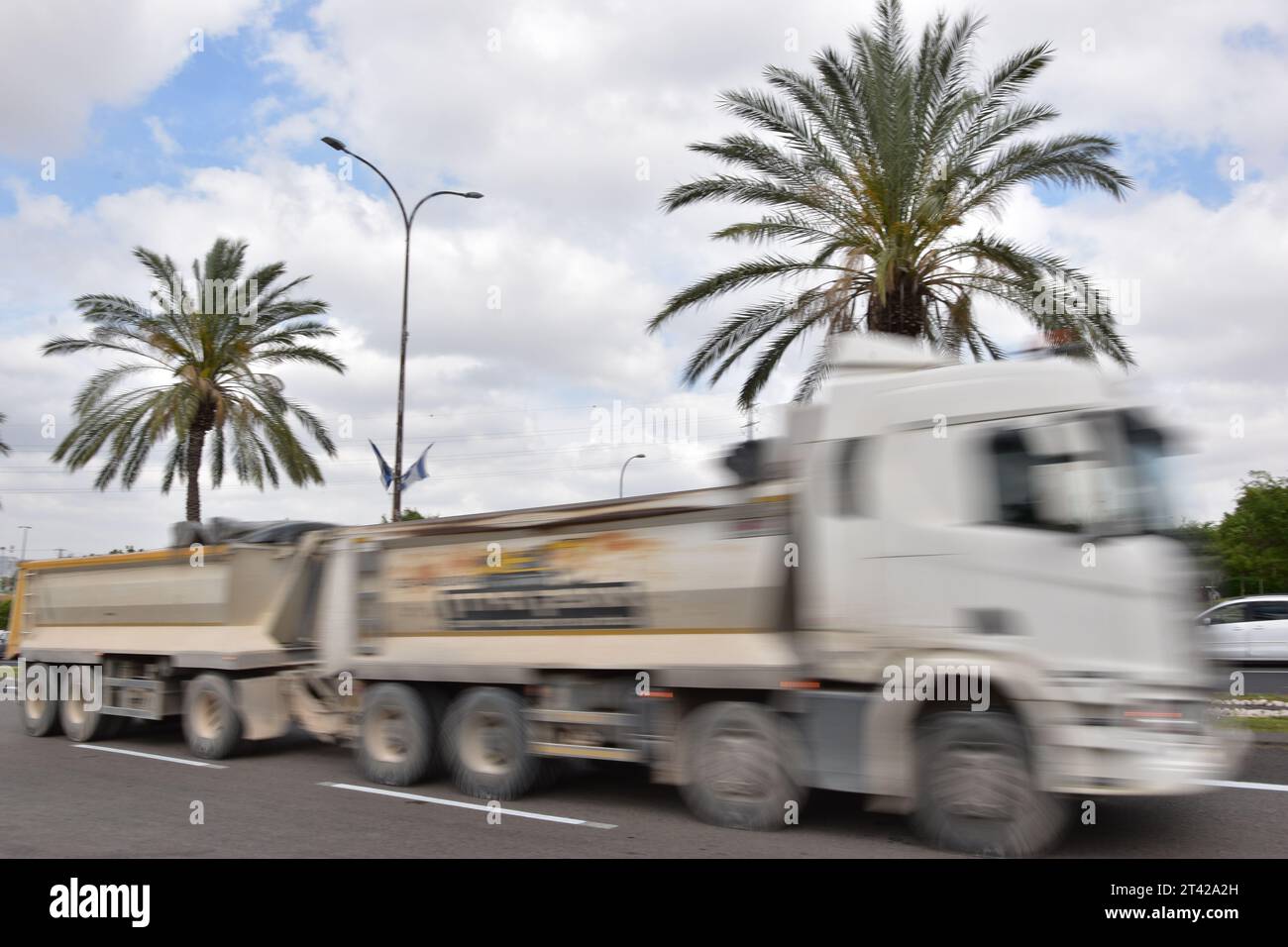 A white pickup truck driving down a street lined with lush palm trees ...