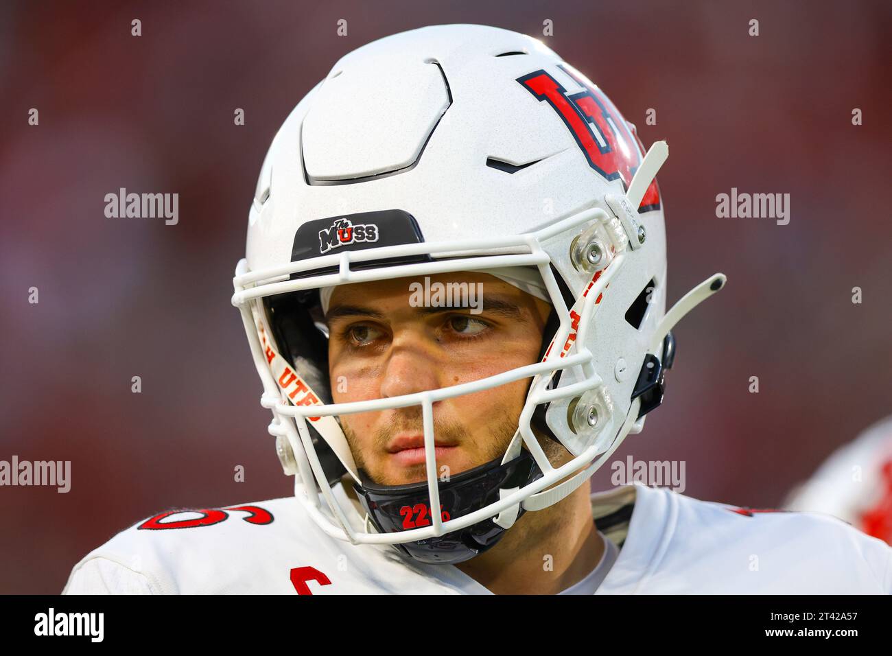 LOS ANGELES, CA - OCTOBER 21: Utah Utes quarterback Bryson Barnes (16 ...