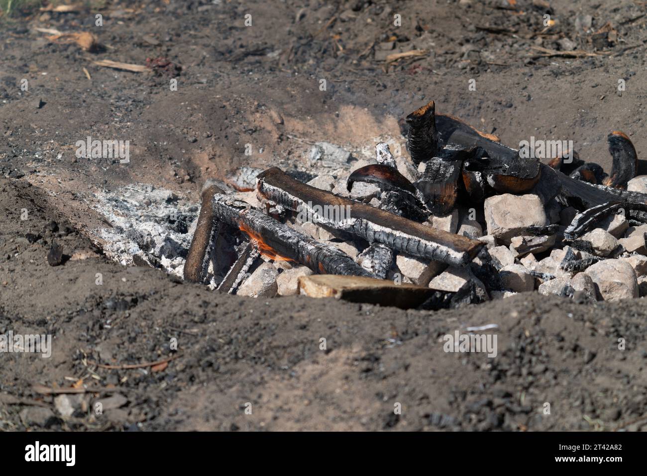 Preparation for traditional Fijian in ground oven or lovo for cooking ...