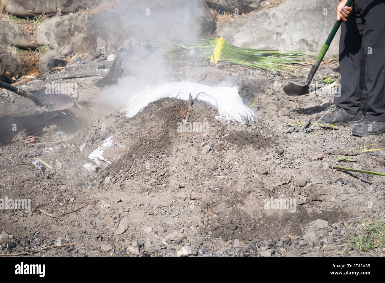Preparation for traditional Fijian in ground oven or lovo for cooking ...
