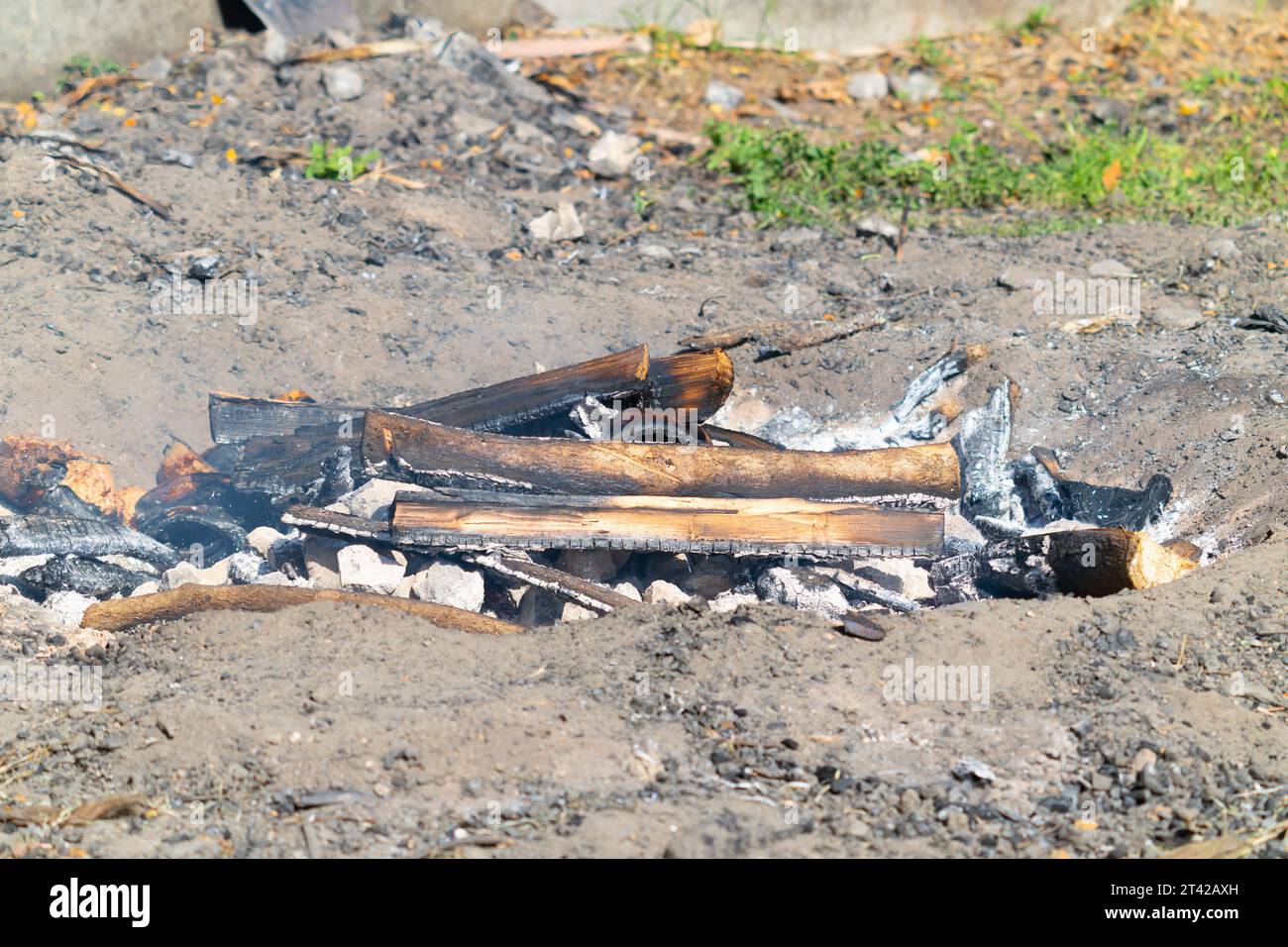 Preparation for traditional Fijian in ground oven or lovo for cooking ...