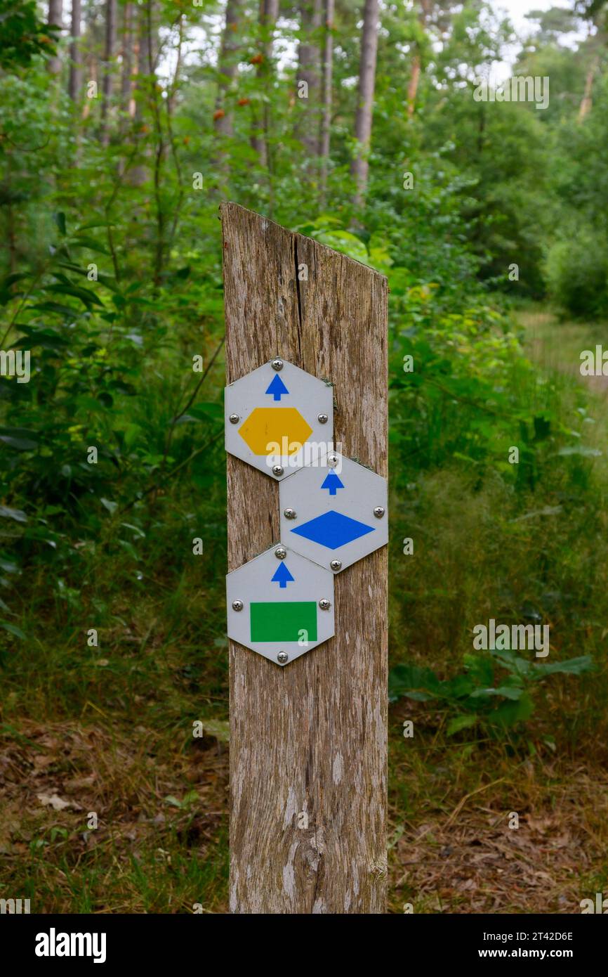 Arrowstring hi-res stock photography and images - Alamy