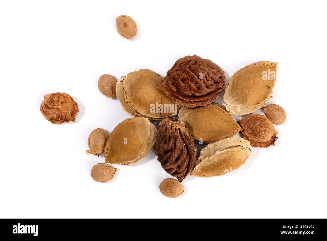 Group of a fruit pits isolated on white background Stock Photo - Alamy