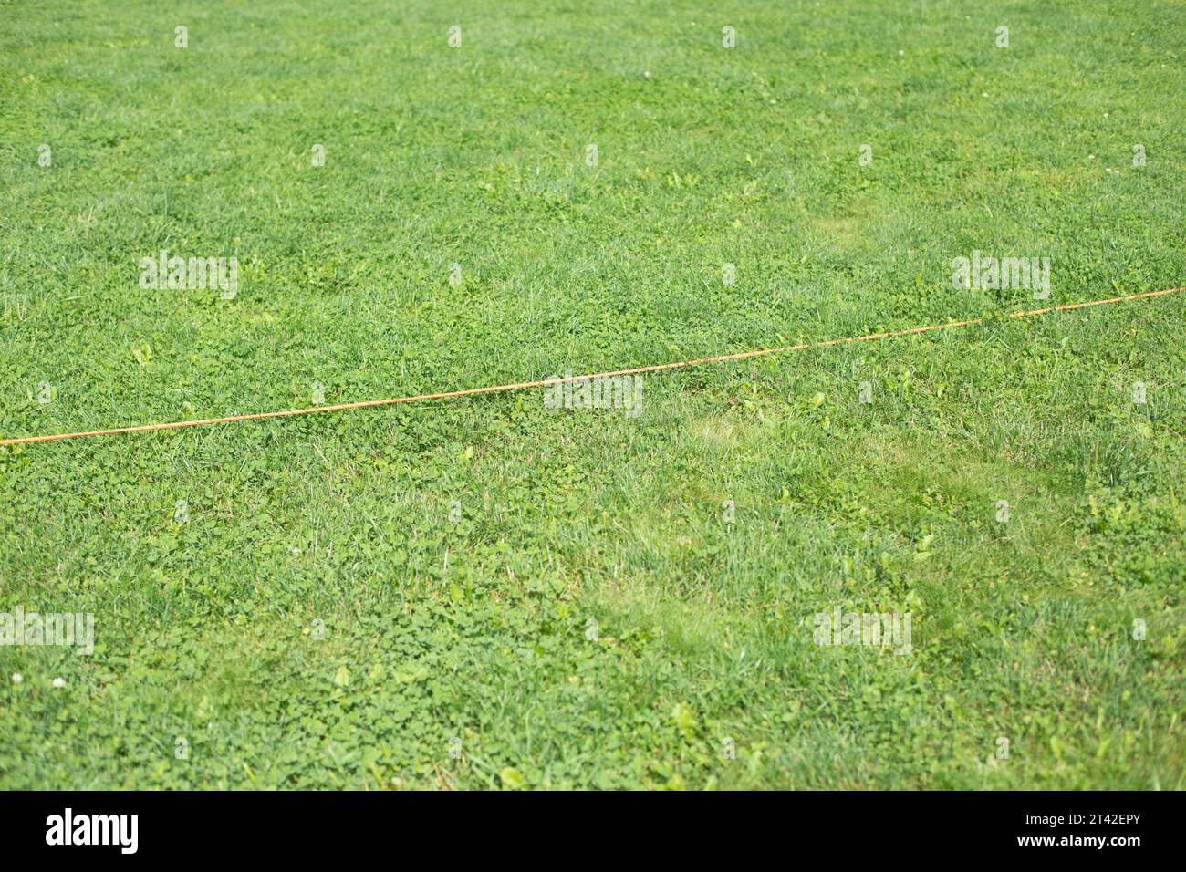 Rope coil green hi-res stock photography and images - Alamy