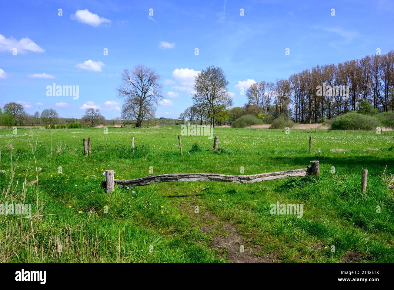 A scenic view of a green landscape in Wortel, Hoogstraten, Belgium ...
