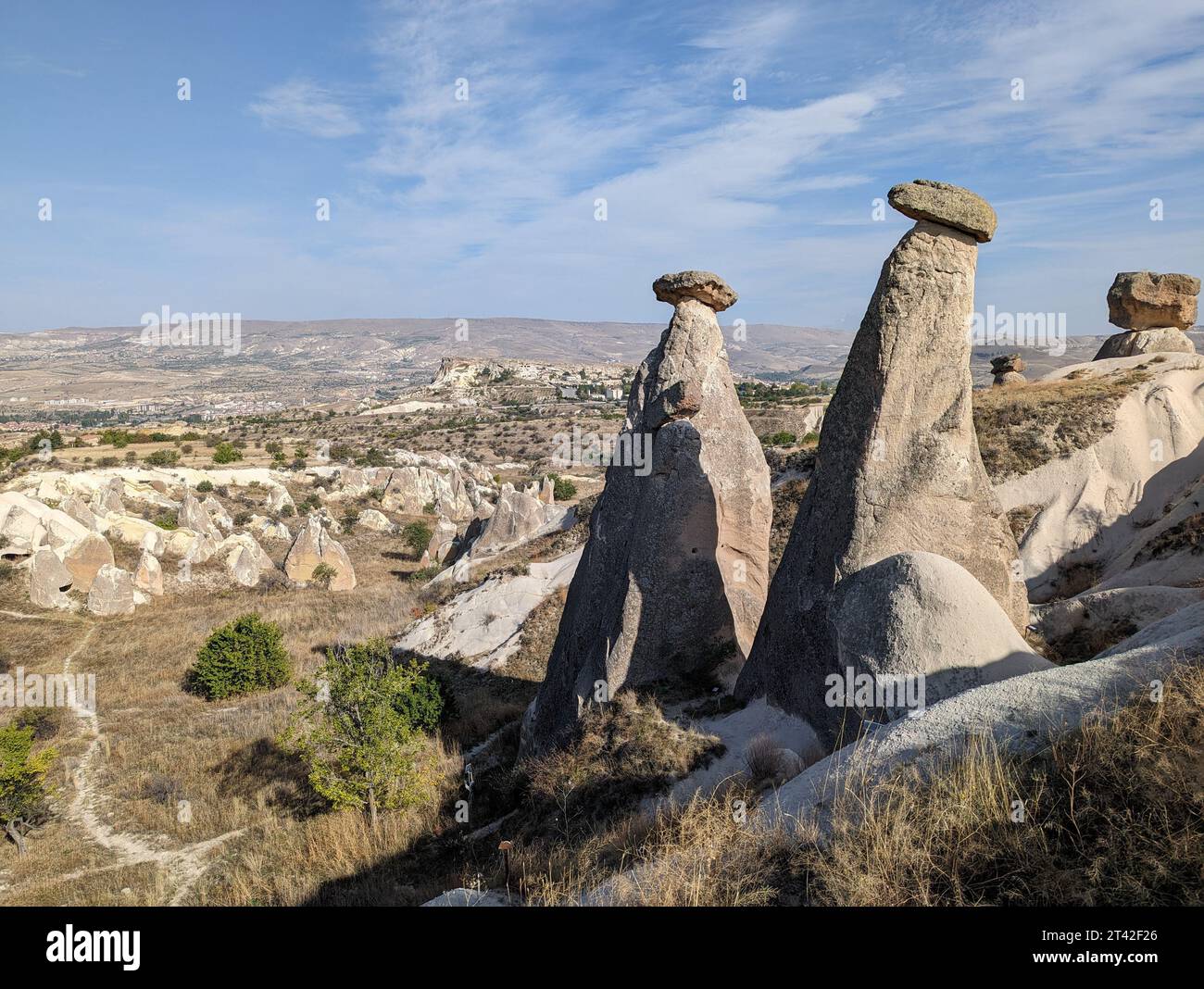 Abstract humanoid form hi-res stock photography and images - Alamy