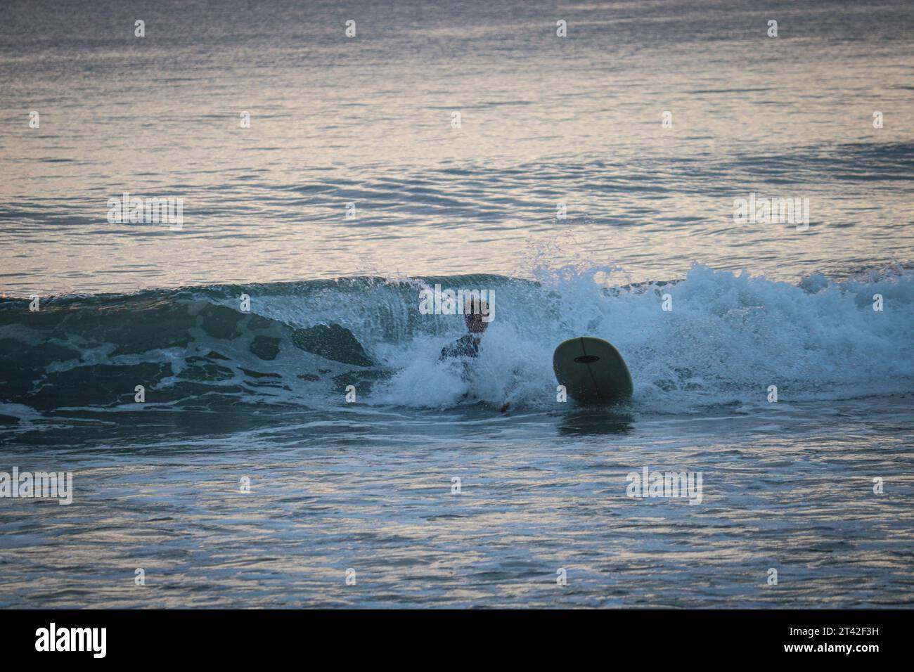 An unrecognizable surfer falls on a SUP board in a wave. Action ...
