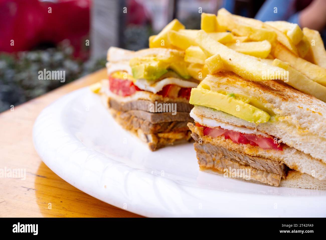 A tantalizing plate of food consisting of a sandwich and french fries ...