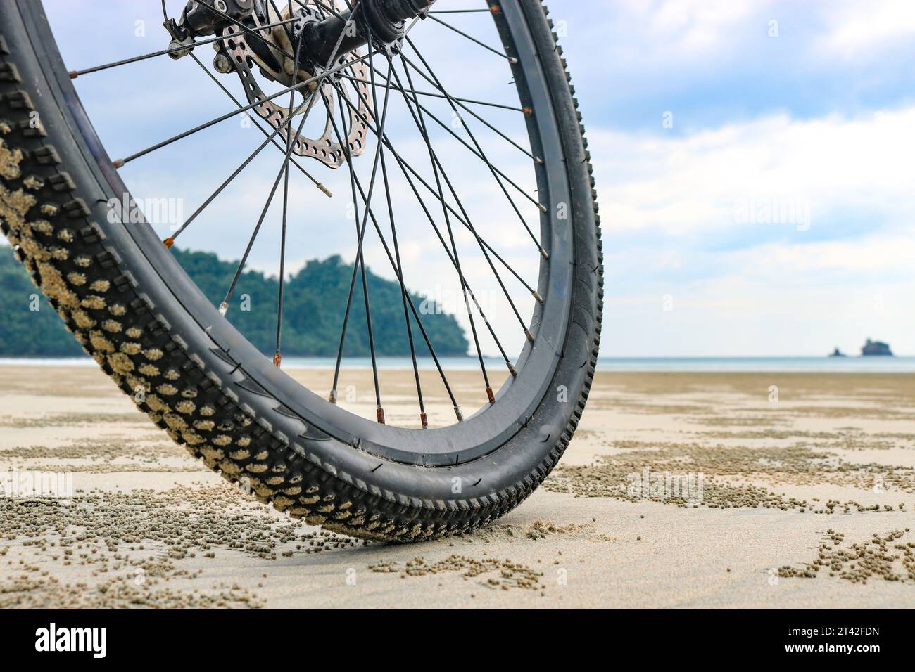 Low angle of a bicycle wheel on the beach, on the sea sand at low tide ...
